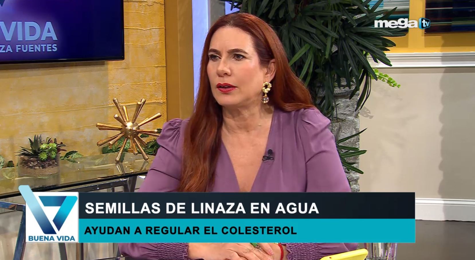 Buena Vida 12-27-22 Semillas de Linaza en agua ayudan a regular el ...