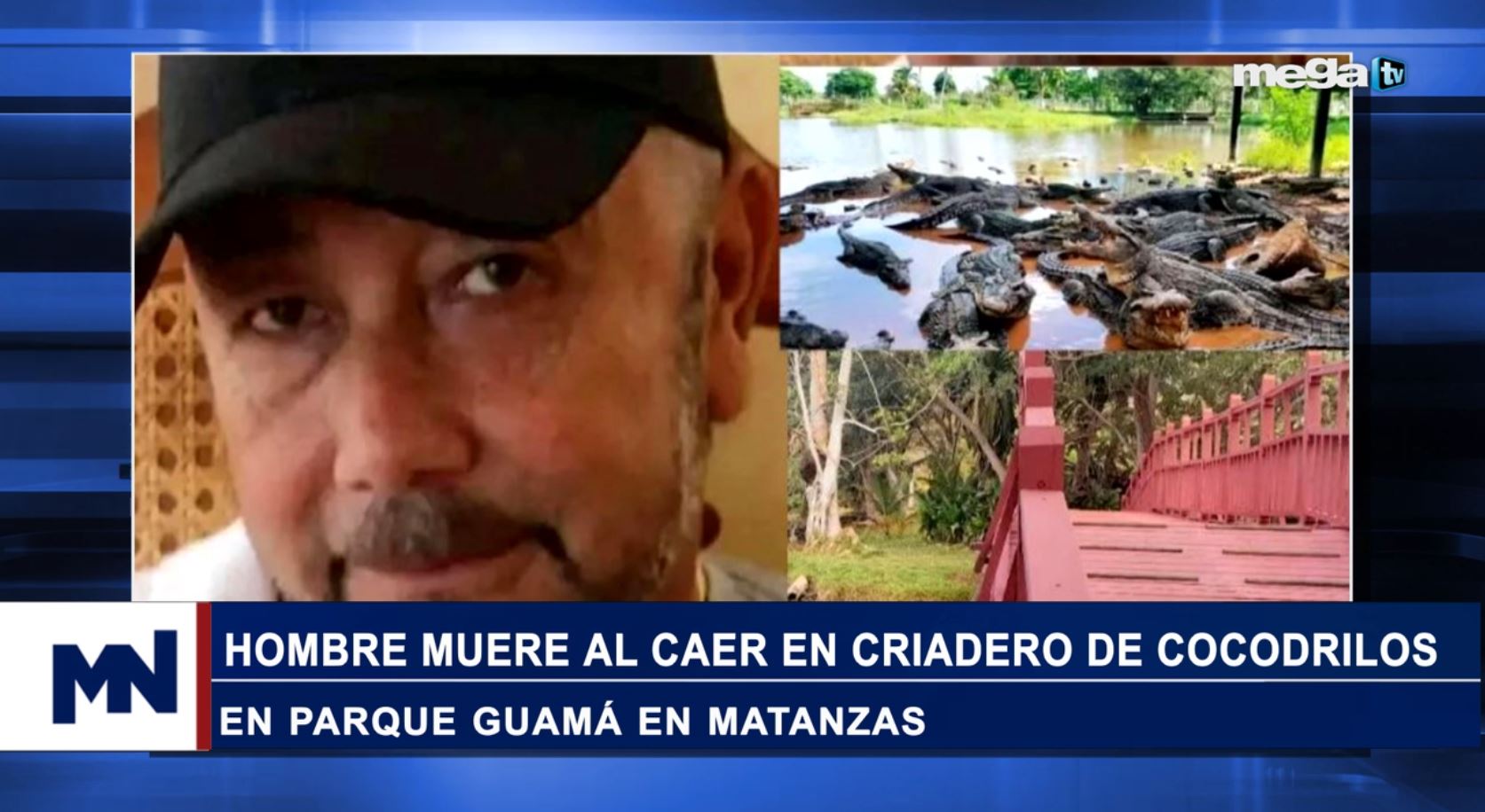 'Sonando en Cuba' Hombre muere al caer en criadero de cocodrilos en ...